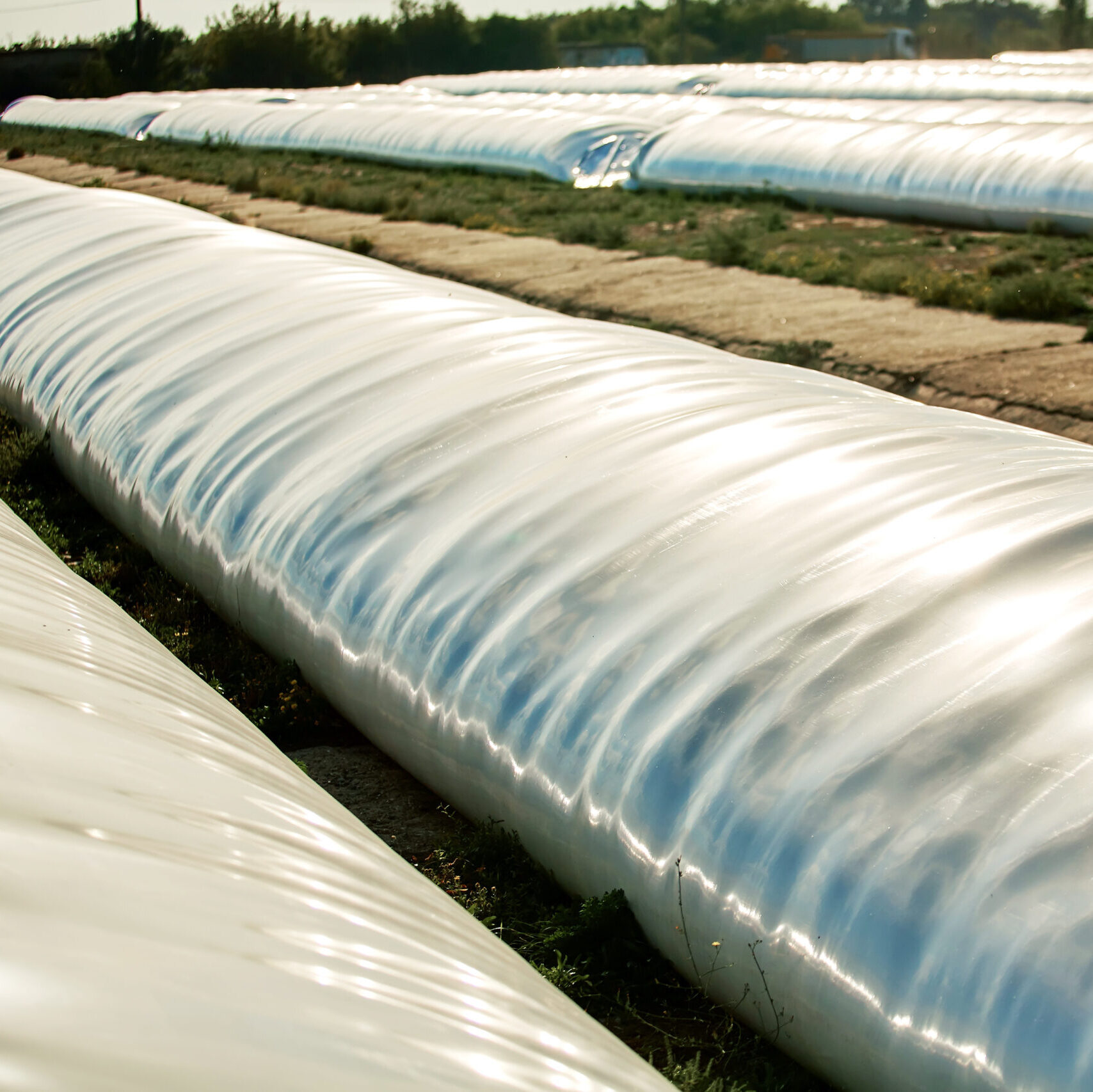 Browse All Products - Revolution Sustainable Solutions