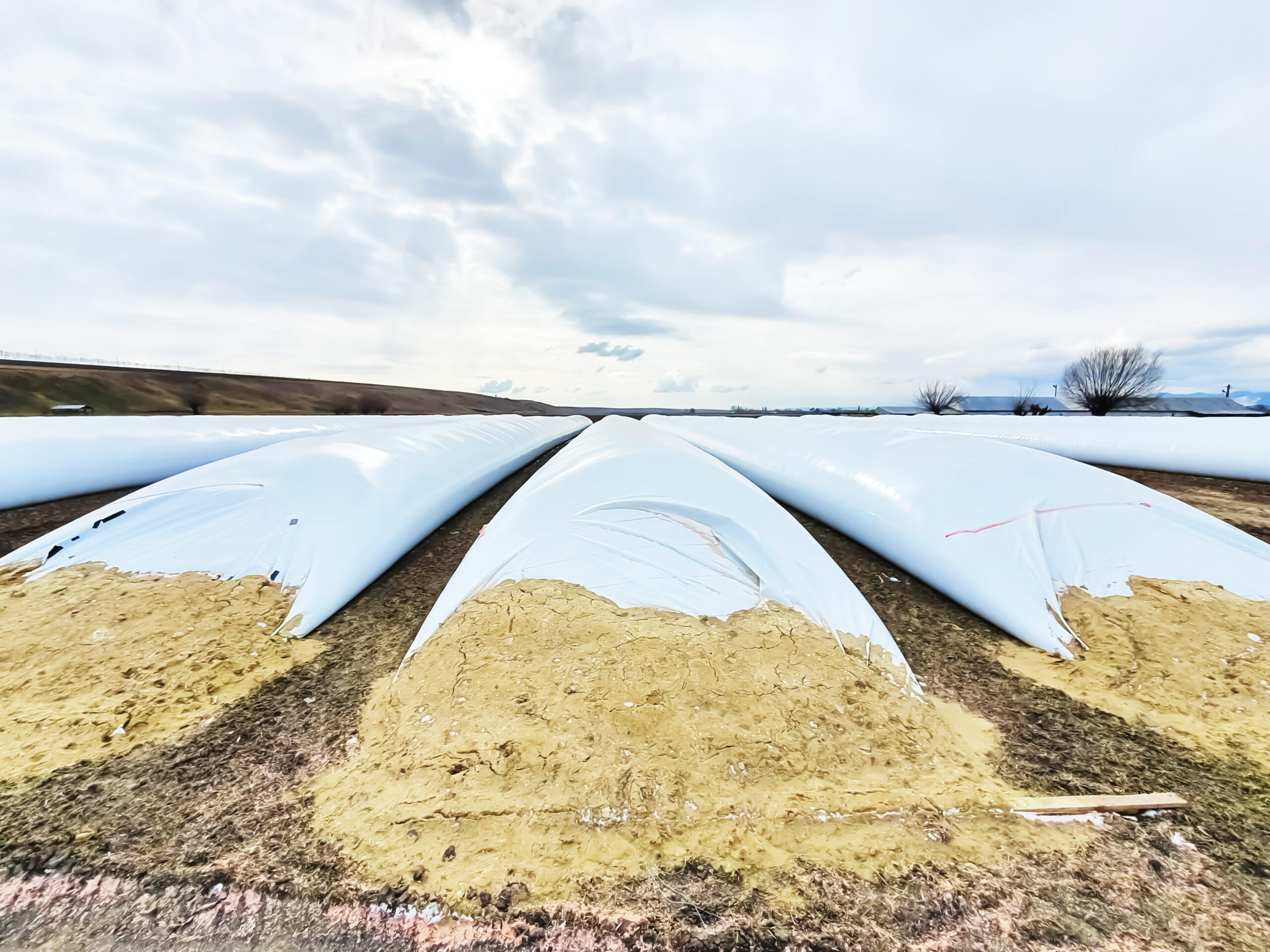 Silage & Grain Bags - Revolution Sustainable Solutions