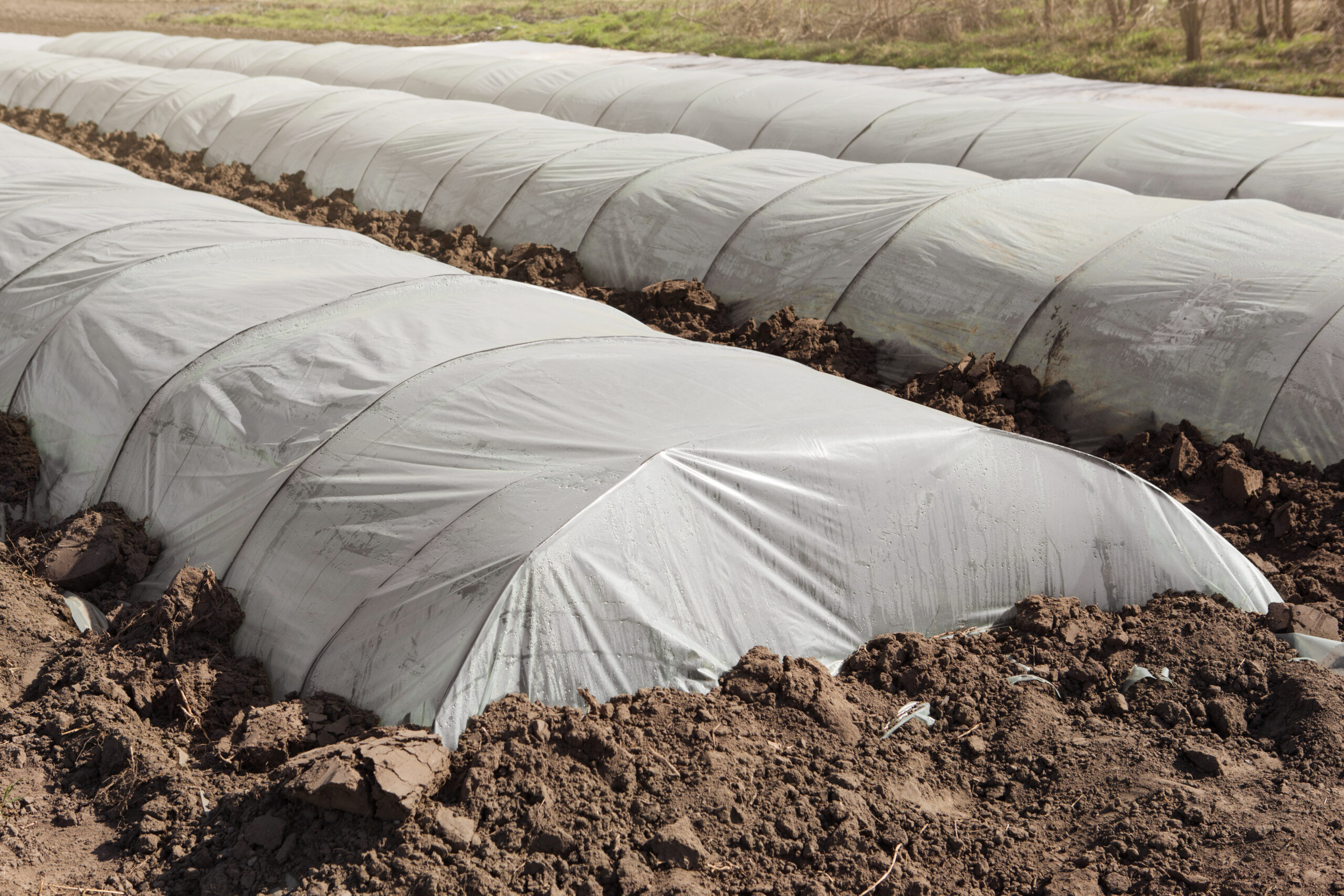 Ground Cover Film - Revolution Sustainable Solutions