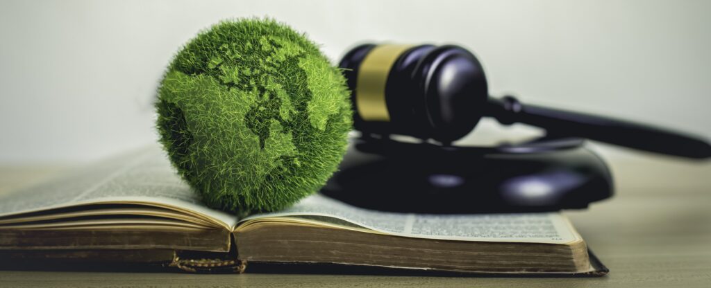 Learn - Revolution Sustainable Solutions